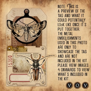 Entomology Tags, Vintage Tags, Tag Set, Set of 4 Vintage Specimen Tags ...