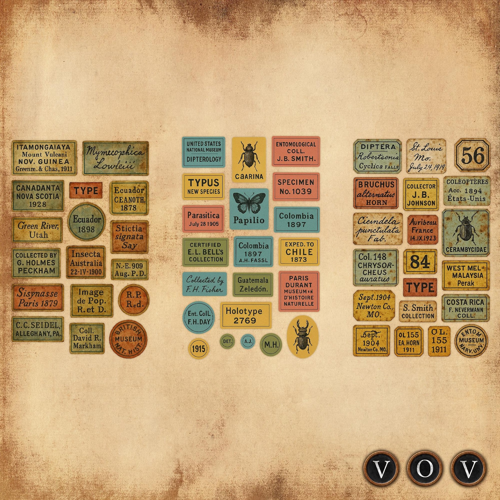 Curator & Specimen Labels No.2 – Printable Entomology-inspired Labels ...