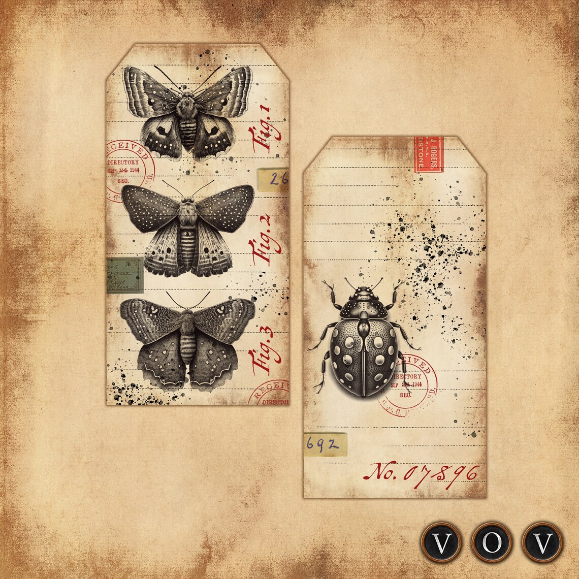 Entomology Tag Set, Vintage Tags, Tag Set, Set of 6 Insect Tags 2.5x5 ...
