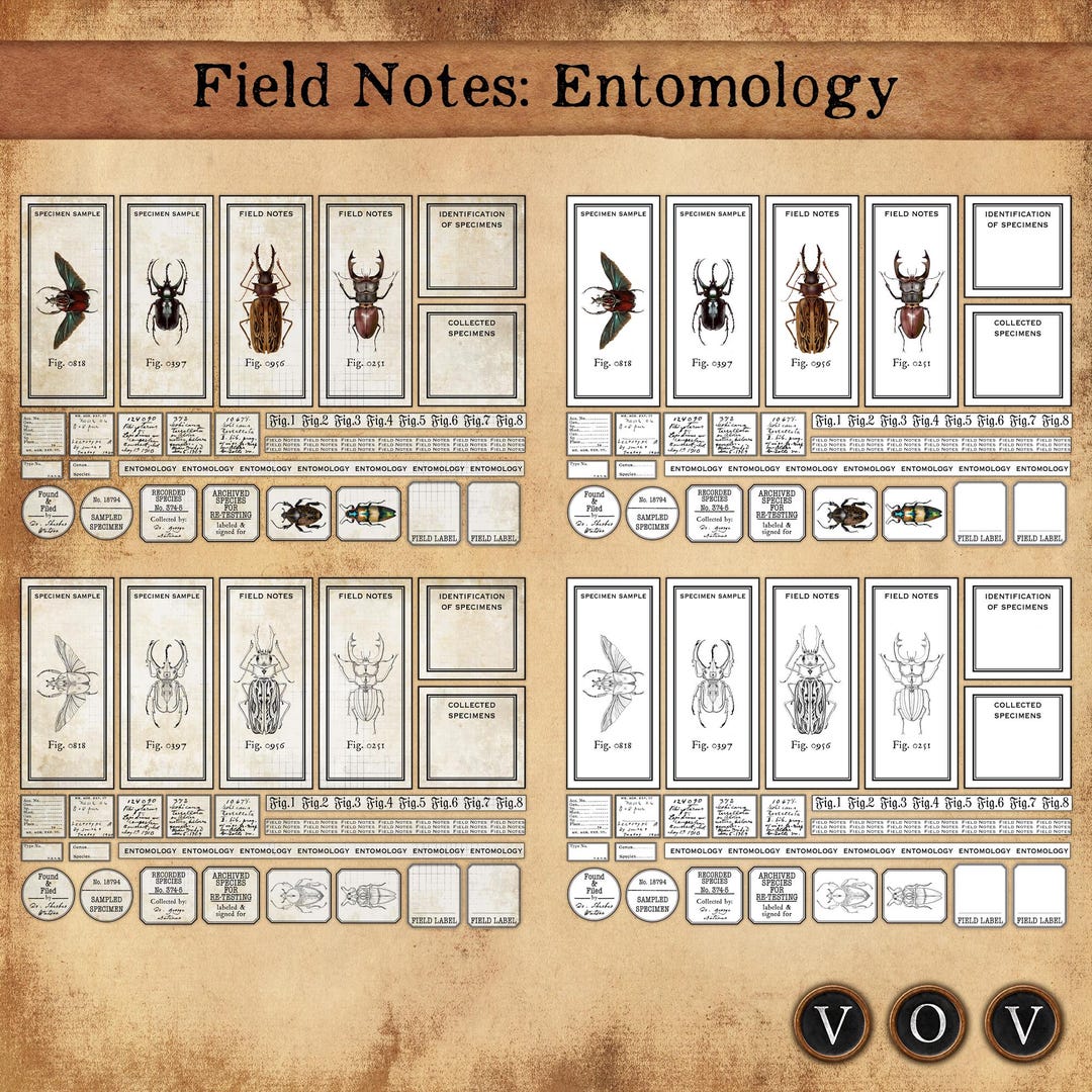 Field Notes: Entomology. Tags, Cards, Labels & Washi Tape. Color + Ink ...