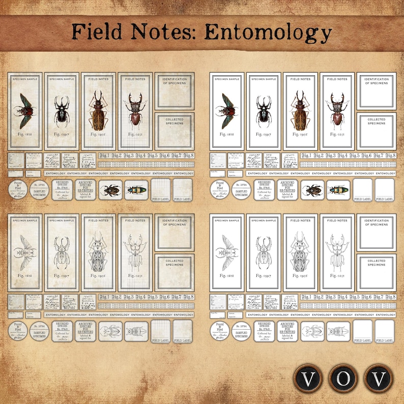 Field Notes: Entomology. Tags, Cards, Labels & Washi Tape. Color + Ink ...