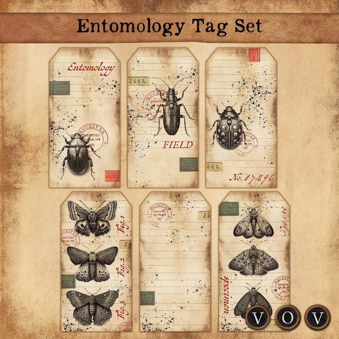 Entomology Tag Set, Vintage Tags, Tag Set, Set of 6 Insect Tags 2.5x5 ...