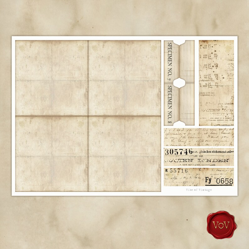 Specimen Slide Accordion Pocket Field Specimens Printable - Etsy