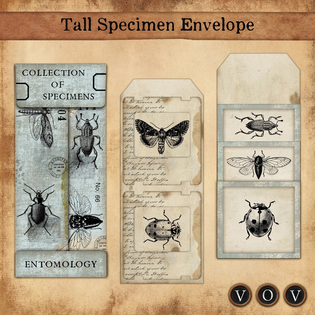 Tall Specimen Envelope for Junk Journals and Other Paper Craft Projects ...