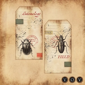 Entomology Tag Set, Vintage Tags, Tag Set, Set of 6 Insect Tags 2.5x5 ...