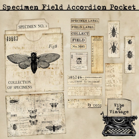 Specimen Slide Accordion Pocket Field Specimens Printable - Etsy