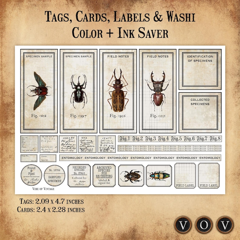 Field Notes: Entomology. Tags, Cards, Labels & Washi Tape. Color + Ink ...