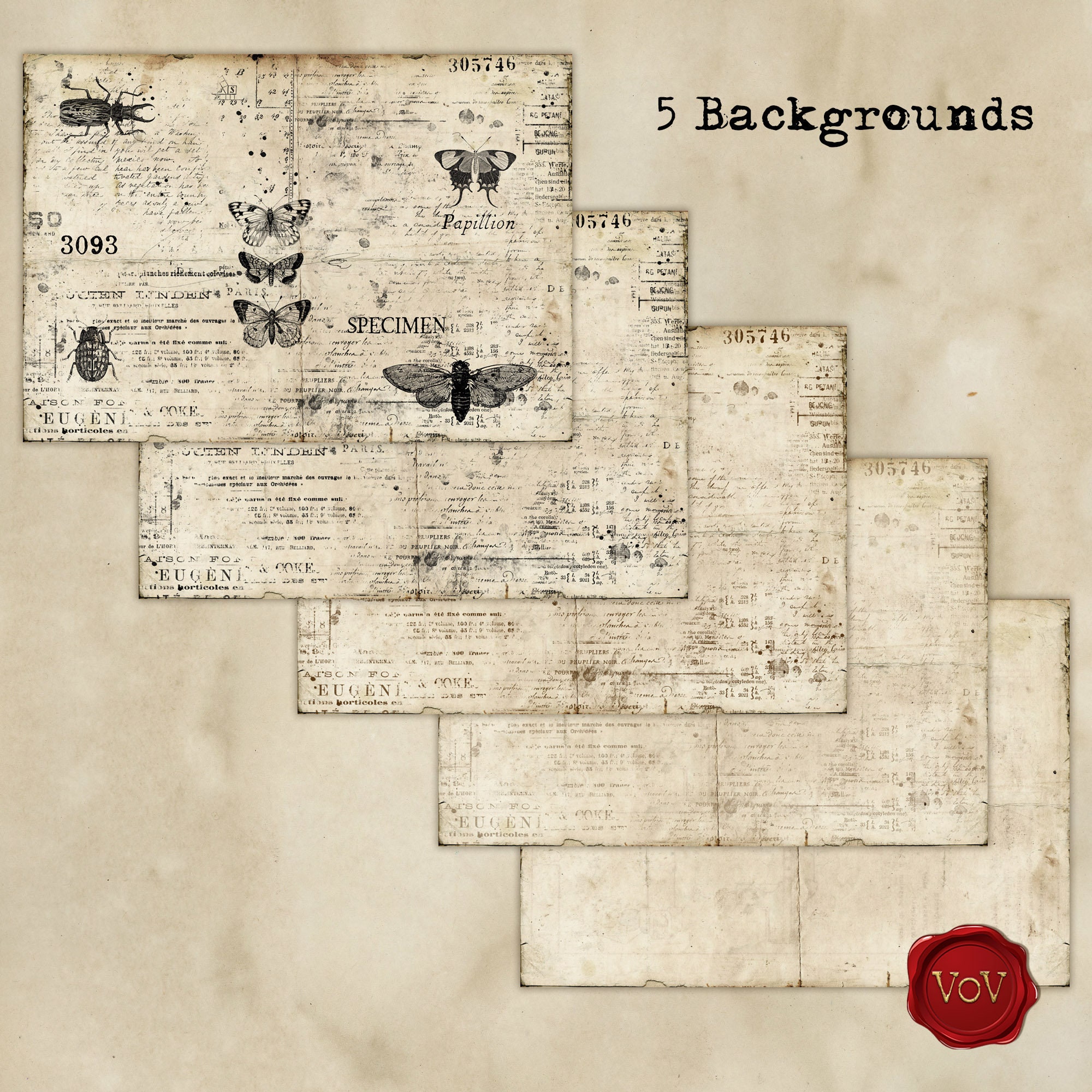 Specimen Slide Accordion Pocket Field Specimens Printable - Etsy