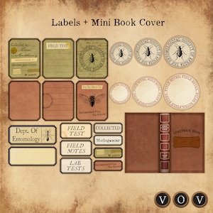 Specimen Slide Box, Mini Ephemera Storage, Printable Boxes, Specimen ...