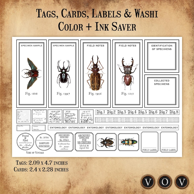Field Notes: Entomology. Tags, Cards, Labels & Washi Tape. Color + Ink ...