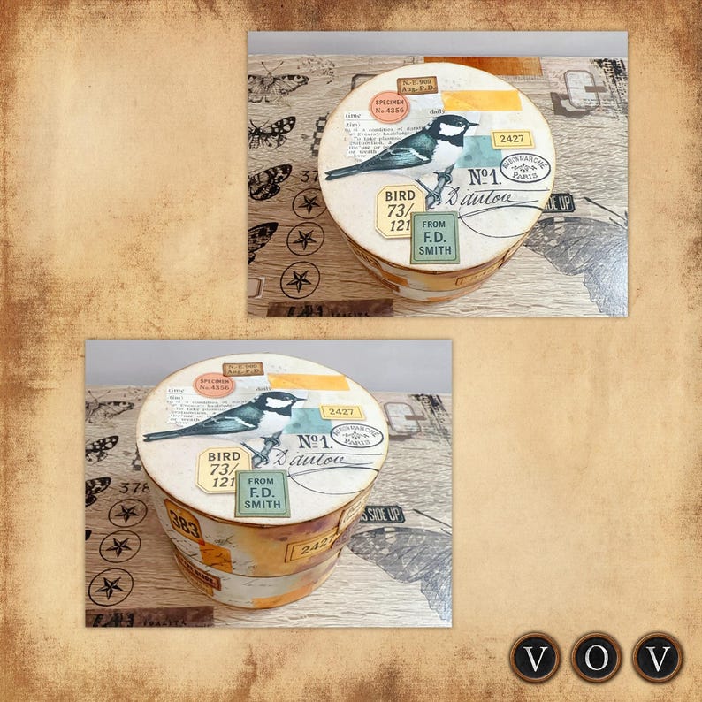 Avian Archive: Printable Round Box Kit | Vintage Bird Specimen Labels ...