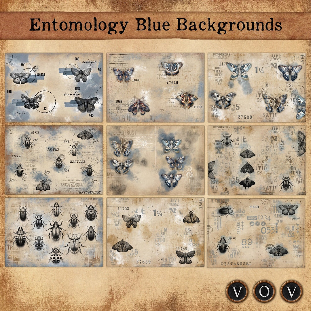 Entomology Blue Background Pages, Printable Papers, Junk Journaling - Etsy