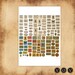 Curator & Specimen Labels No.2 – Printable Entomology-inspired Labels ...