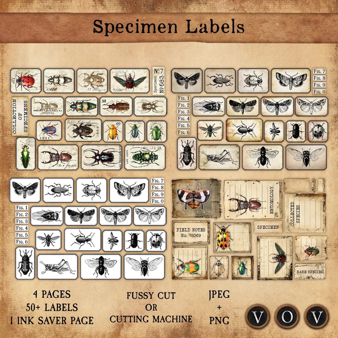 Specimen Labels, Jpeg and Png, 50+ Labels, and an Ink Saver Page, for ...