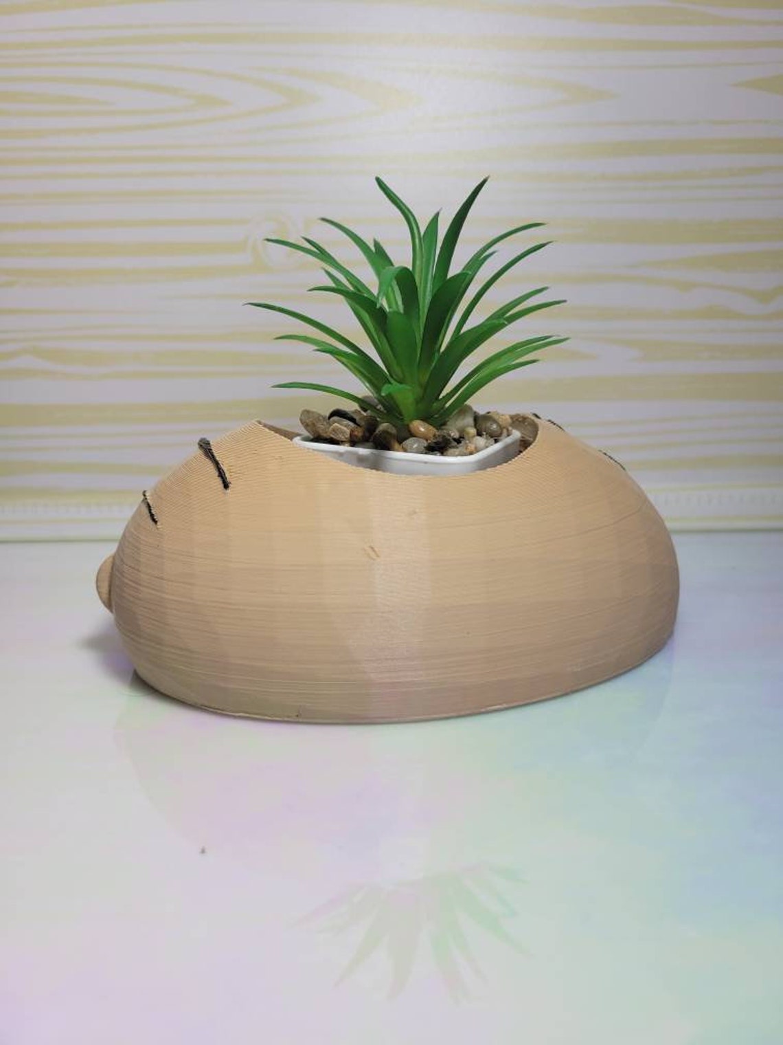 Stewie Planter - Etsy