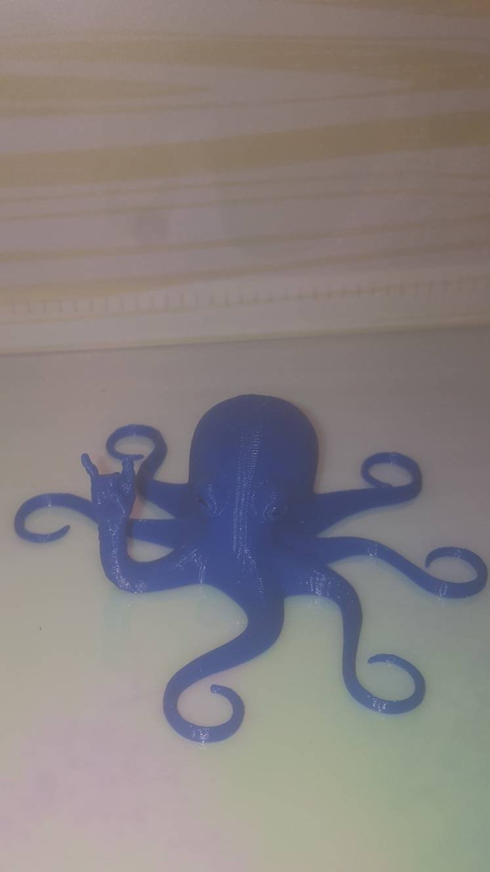 3d squid | Etsy
