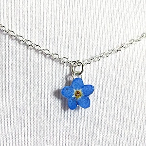 Forget Me Not Necklace, Sterling Silver Necklace, Gold Chain / Silver ...