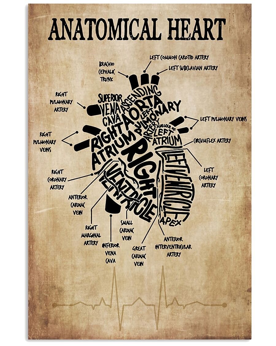 Anatomical Heart Vintage Cardiologist Vertical Poster | Etsy