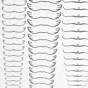 Snake Builder Kit 30 Assets | Easy Body Creation With Guideline ...