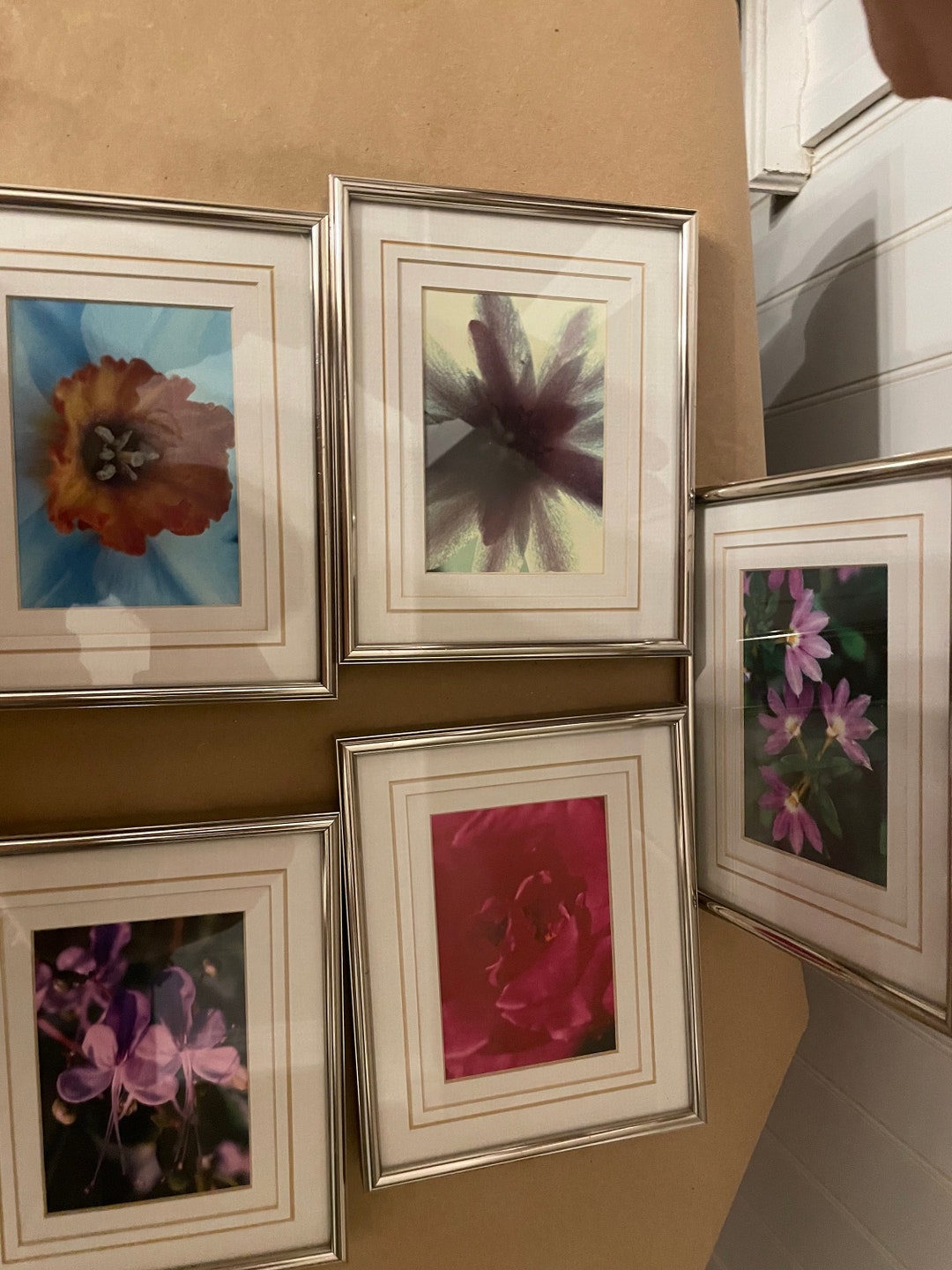 5 Flower Pictures in Solid Frames - Etsy