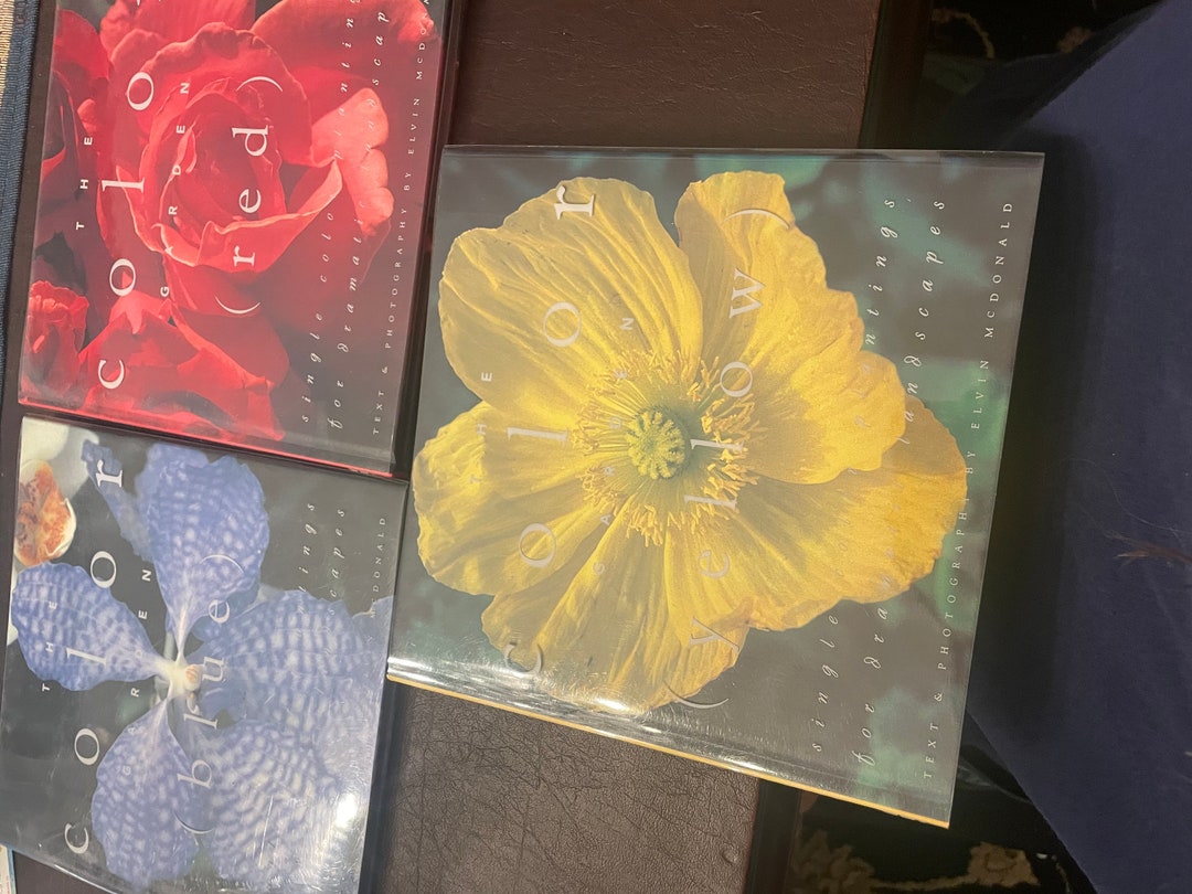 The Color Garden Set of 3 Books - Etsy