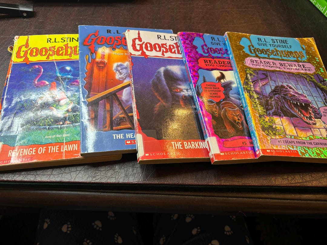 Set of 5 R. L. Stine Goosebumps Books - Etsy