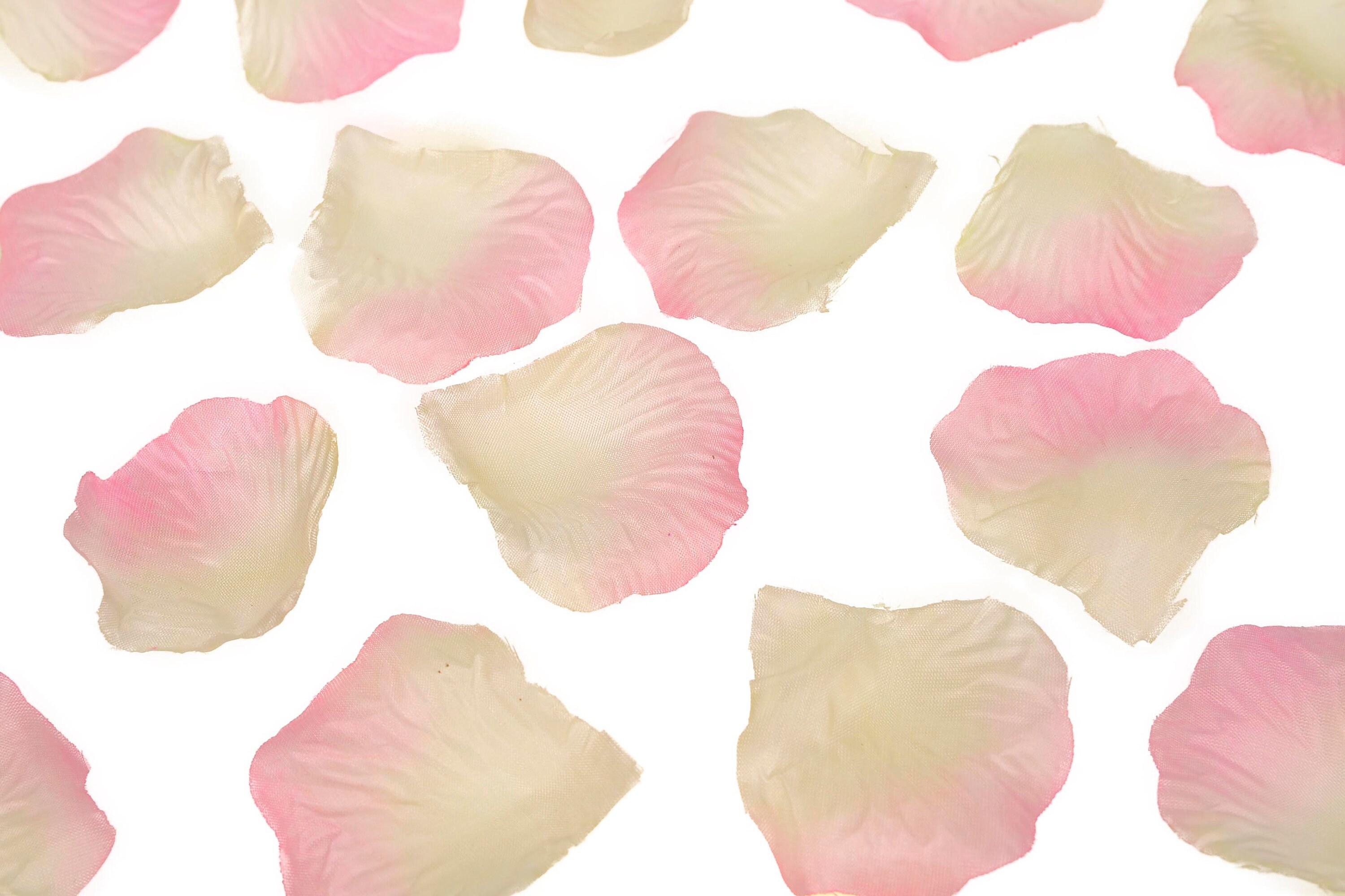 1000pc Artificial Silk Flower Rose Petals for Wedding Table - Etsy UK