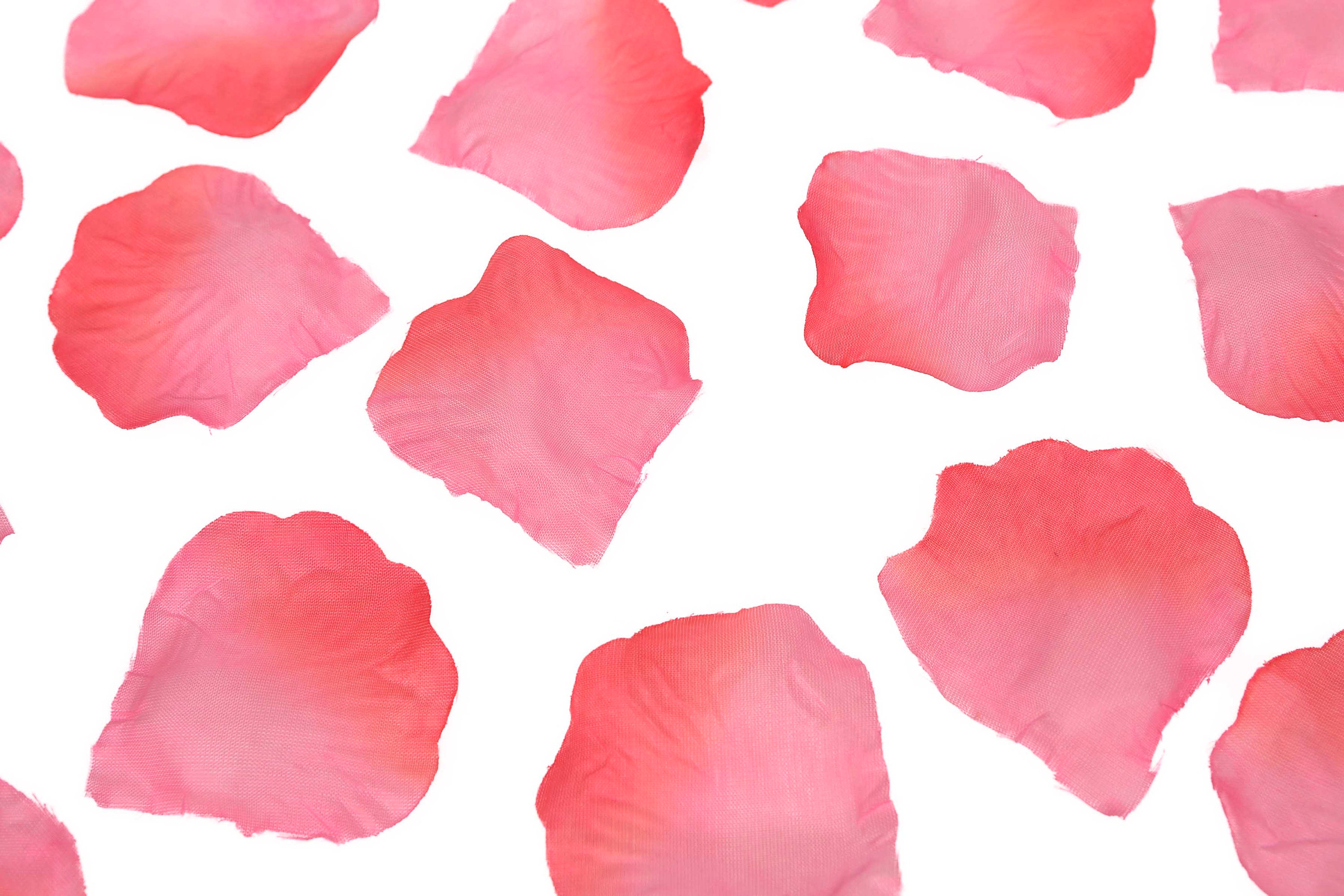 1000pc Artificial Silk Flower Rose Petals for Wedding Table - Etsy UK