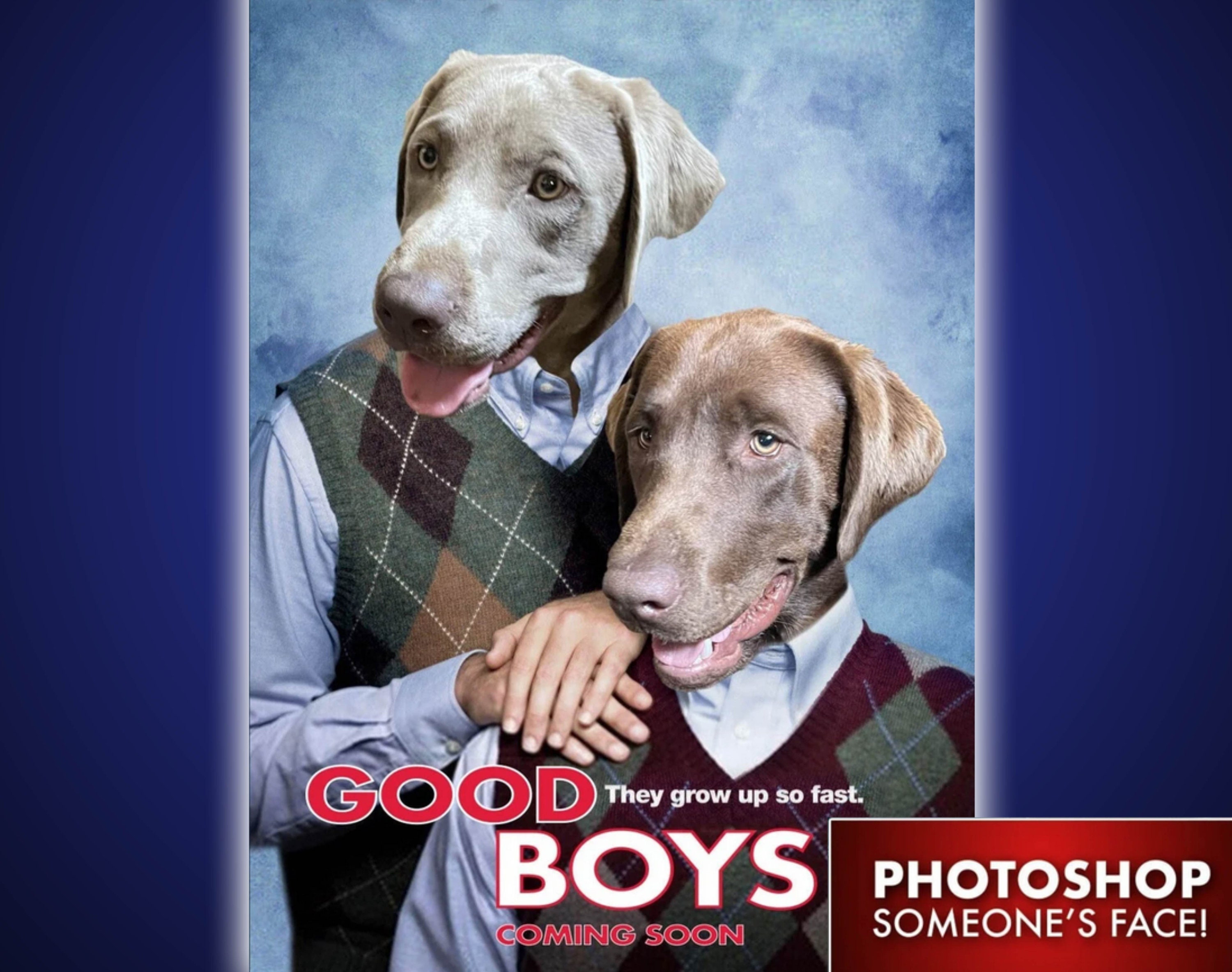 Custom Pet Poster Pets, Photoshop, Cat, Dog, Picture, Movie Poster, Pet ...