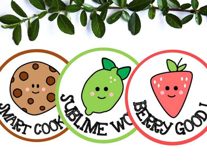 Funny Meme Teacher Stickers Classroom Stickers | Etsy