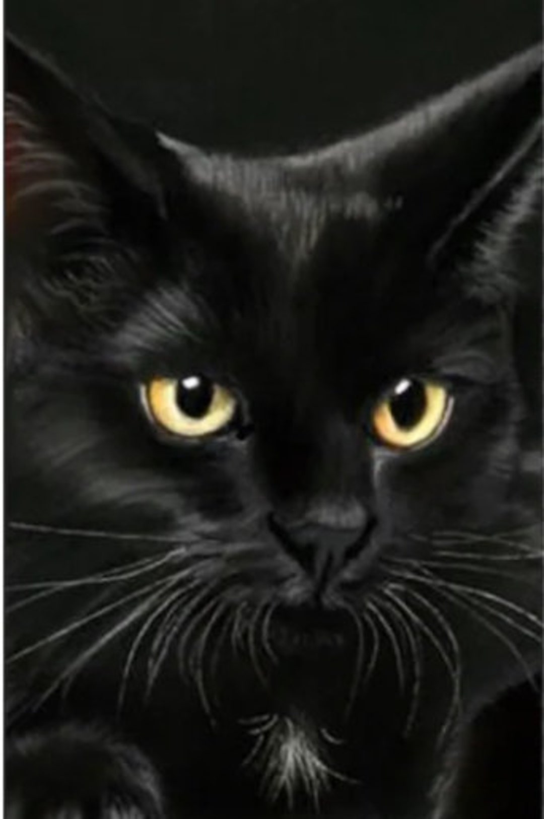 Female Fae Cat Spiritual Companion - Etsy