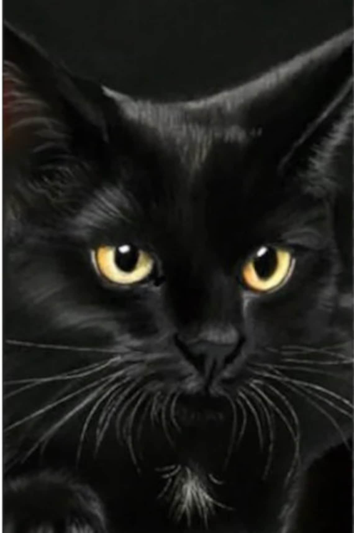 Female Fae Cat Spiritual Companion - Etsy