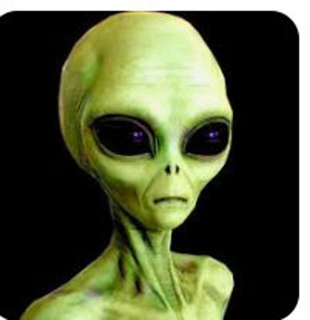 Male Grey Zeta Reticuli Alien Living Entitiy Companion Remote Binding ...