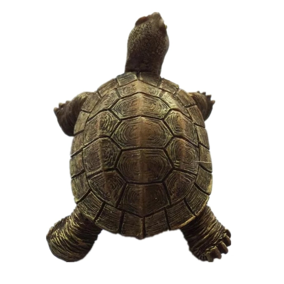 Tortoise Ecuador Fridge Magnet Travel Souvenir Gift Collection - Etsy