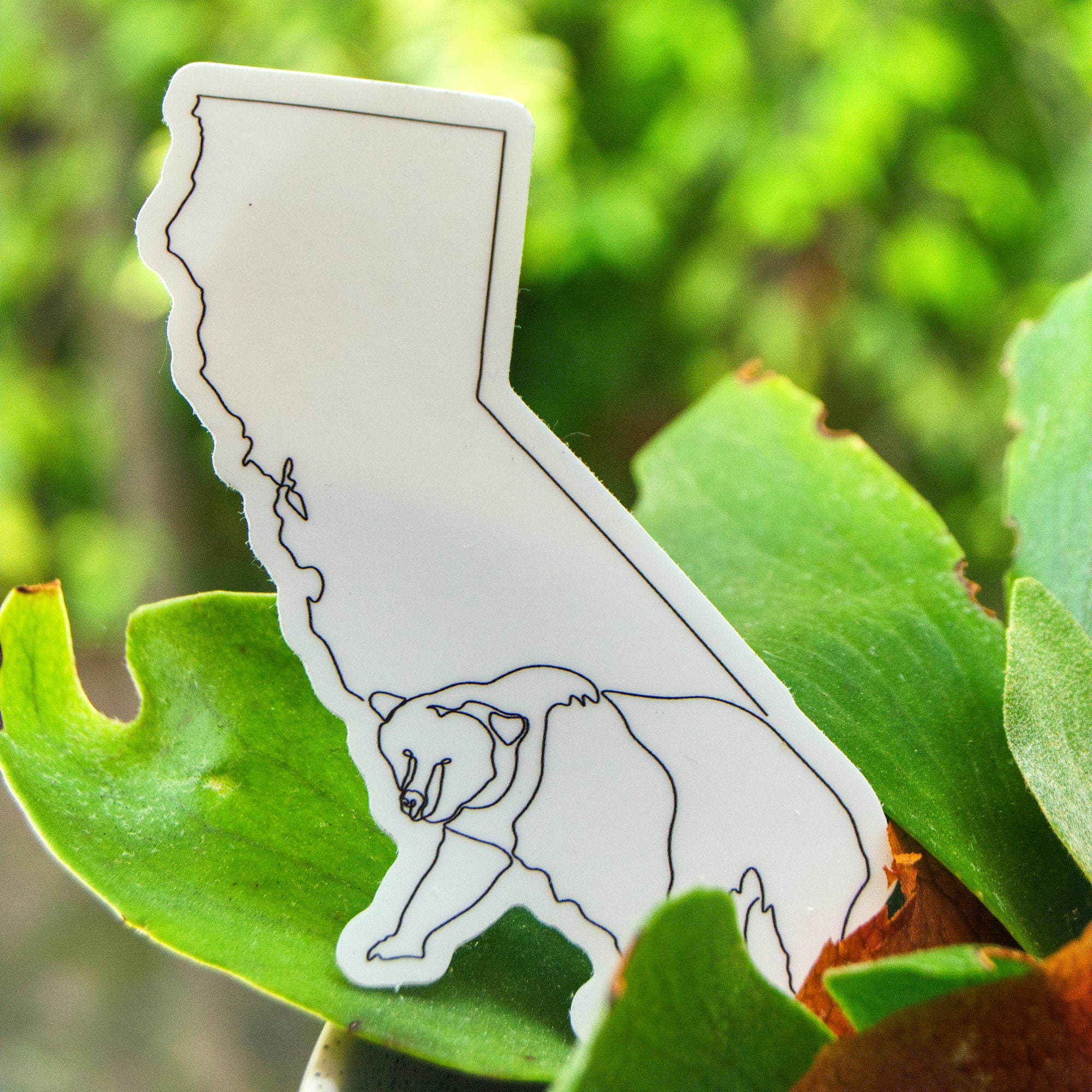 California Bear Sticker California State Sticker - Etsy