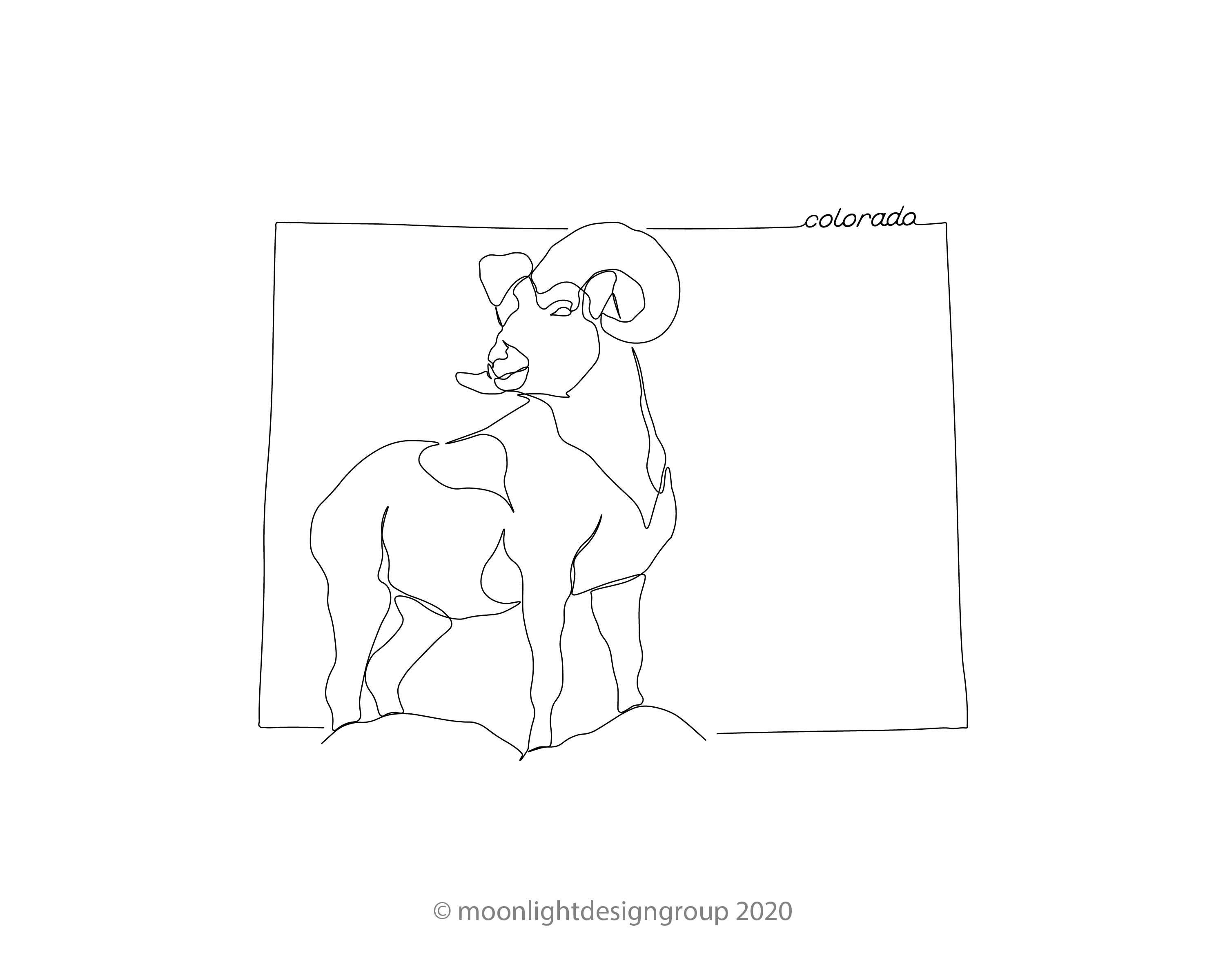 Colorado Big Horn Sheep Print | Printable State Art | Sheep Drawing ...