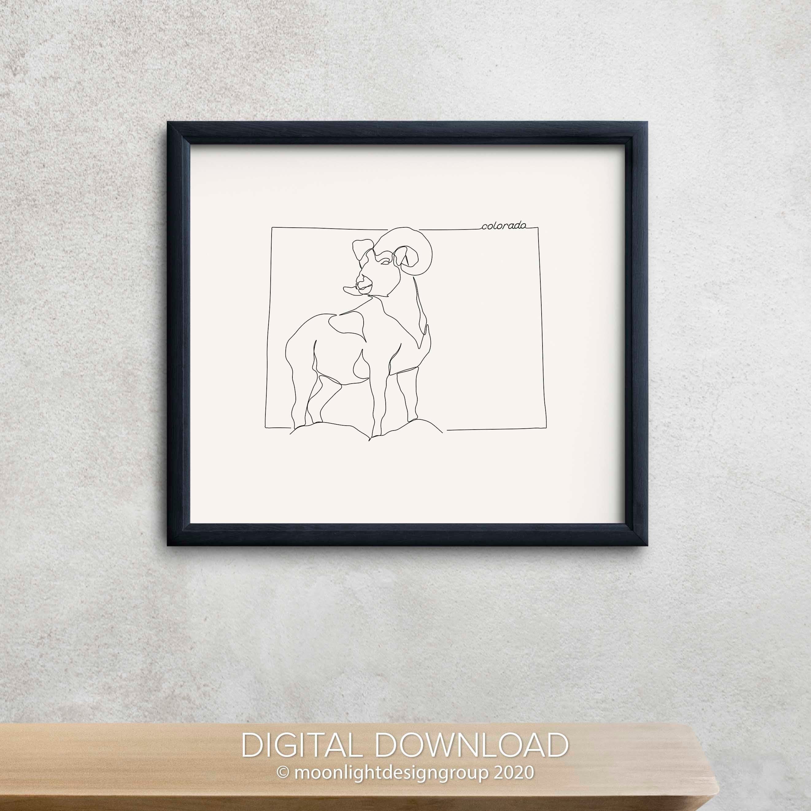 Colorado Big Horn Sheep Print | Printable State Art | Sheep Drawing ...