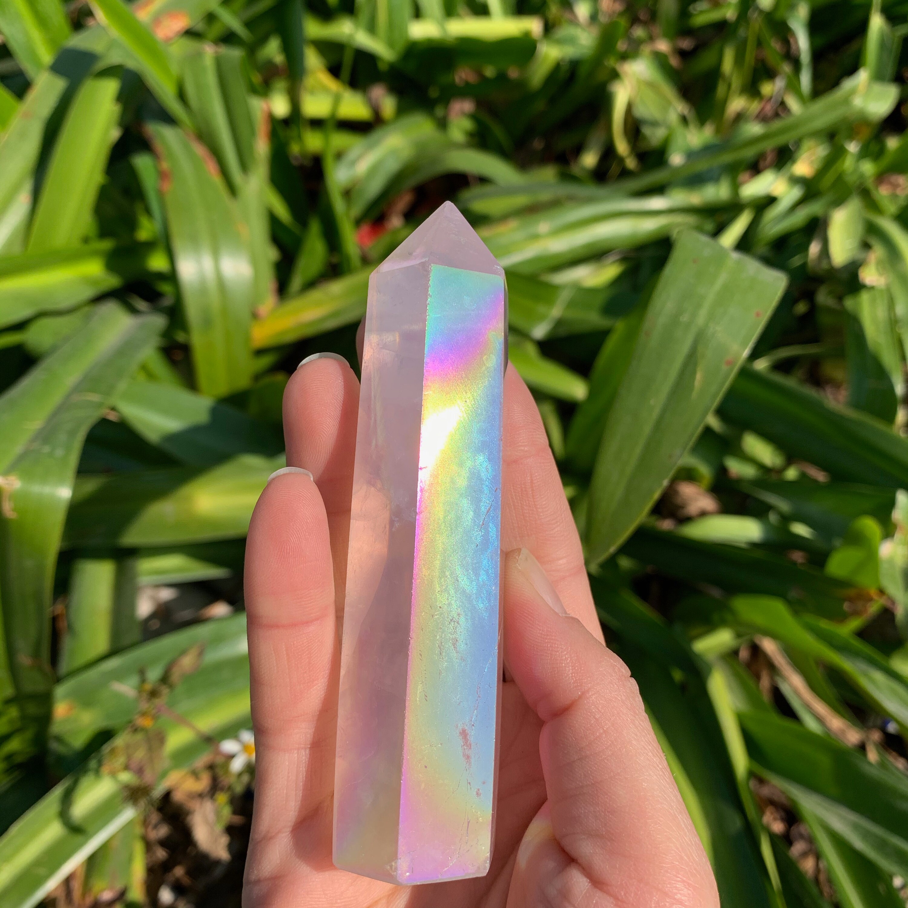 Rainbow Rose Quartz Tower Angel Aura Rose Quartz Point - Etsy UK