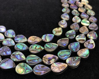 Natural Paua Shell Beads 8mm Square Seashell 10mm Abalone - Etsy