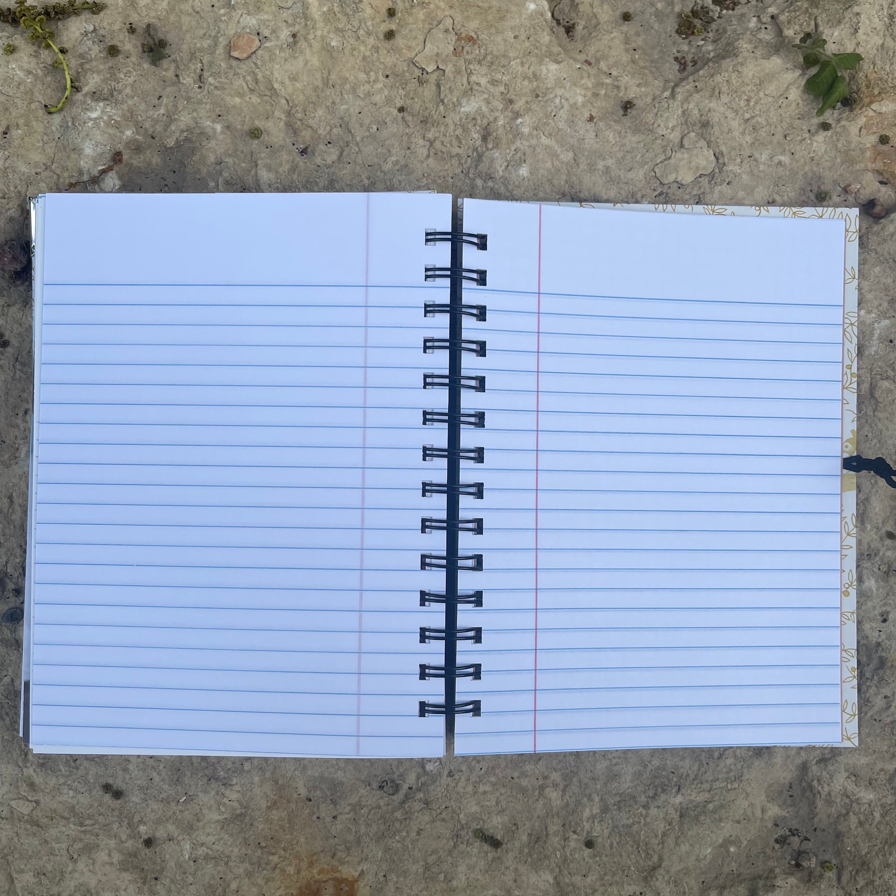 Little Golden Book Journal New Repurposed Book Golden Book | Etsy