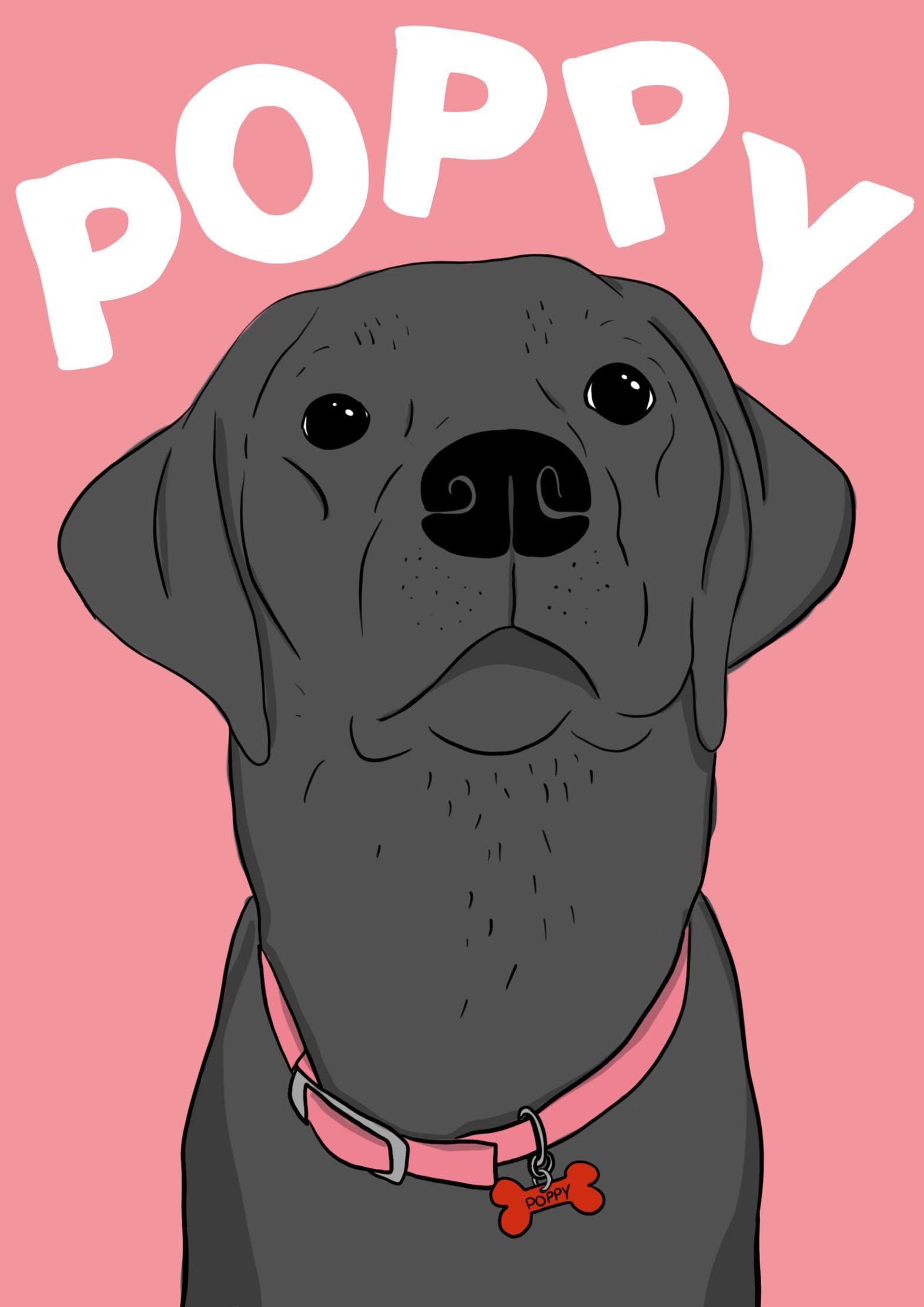 Custom Personalised Dog Drawing Pop Colour Design Hand | Etsy