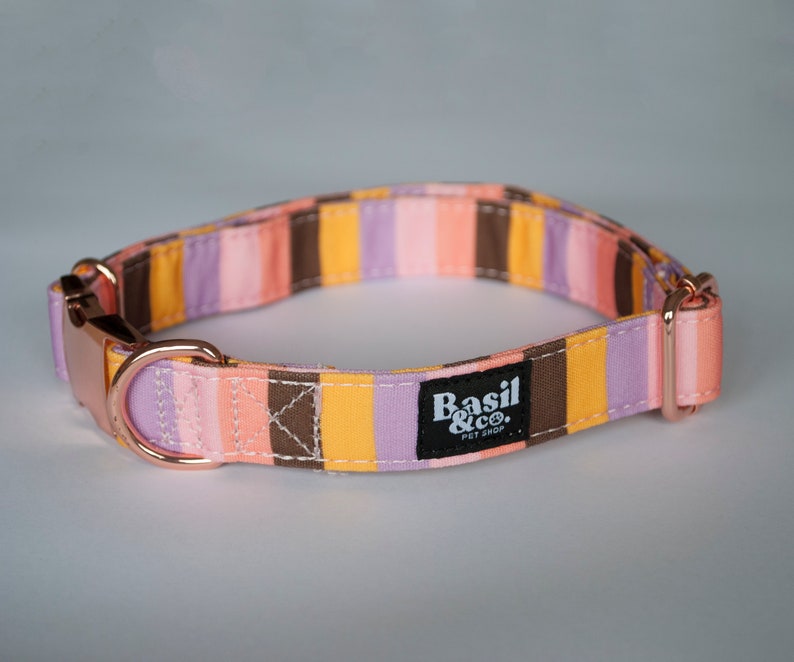 Striped Colorful Dog Collar Stripy Coloured Pattern Dog | Etsy