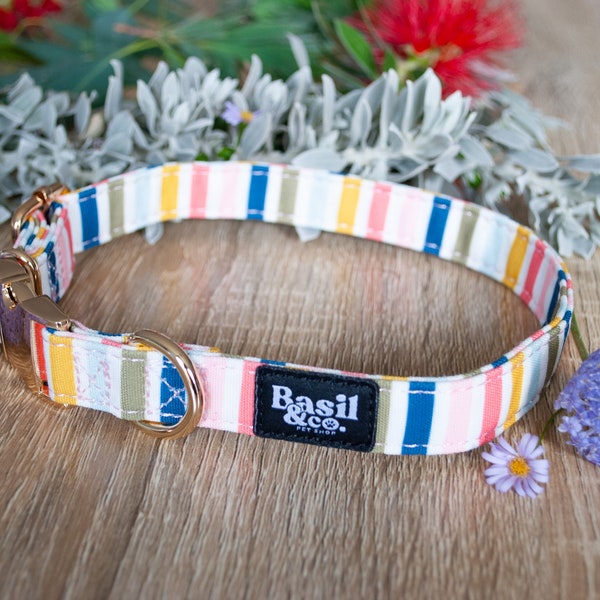 Colorful Collar - Etsy
