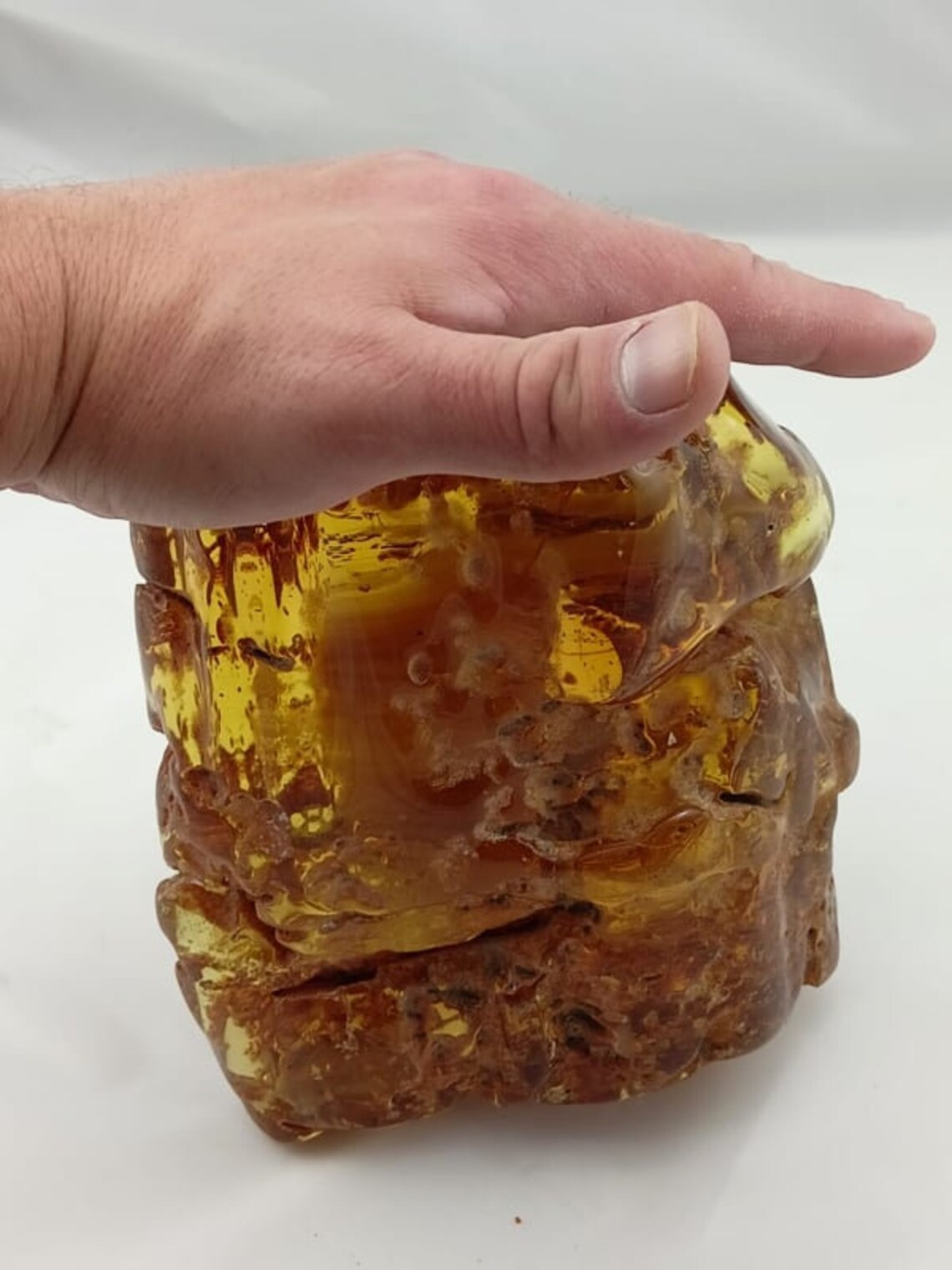 Huge Colombian Amber With Inclusions of Various Insects - Etsy