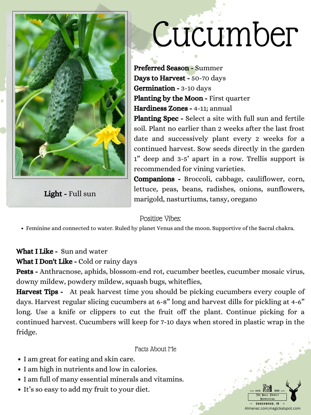 Vegetable & Fruit Plant Profiles - Etsy Canada