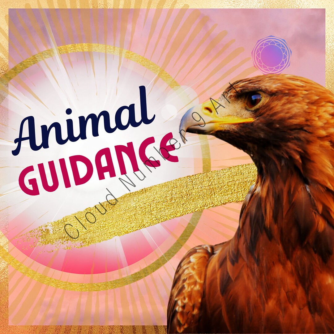 Animal Guidance Blind Reading | Tarot Reading | Spirit and Totem Animal ...