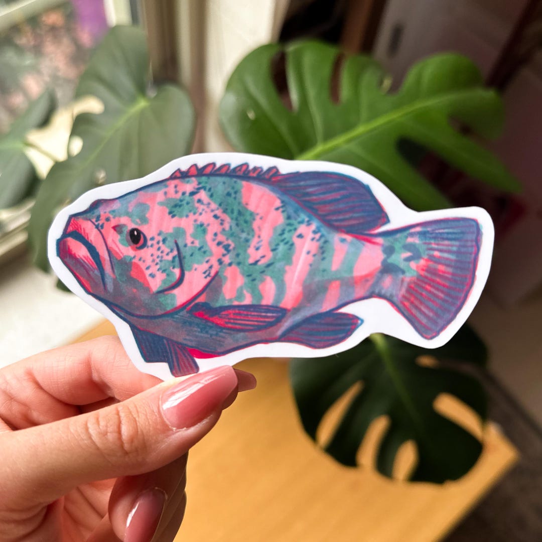 Grouper Vinyl Sticker Fish Marine Decal Ocean Sea Life Cute Gift Pink ...