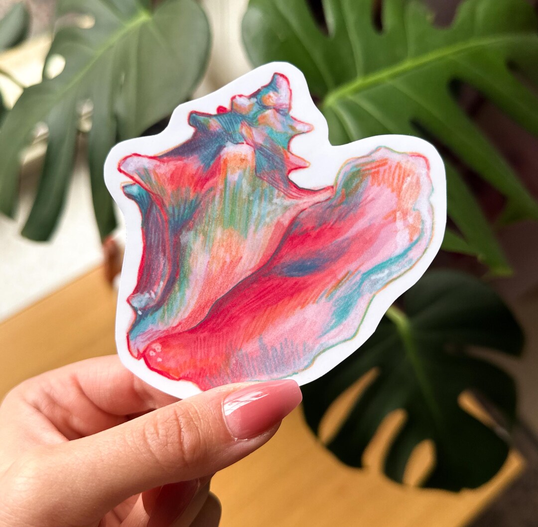 Seashell Vinyl Sticker Marine Decal Beachy Ocean Sea Cute Gift Beach ...