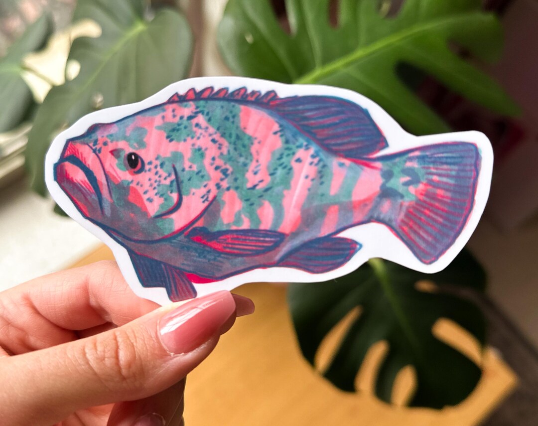 Grouper Vinyl Sticker Fish Marine Decal Ocean Sea Life Cute Gift Pink ...