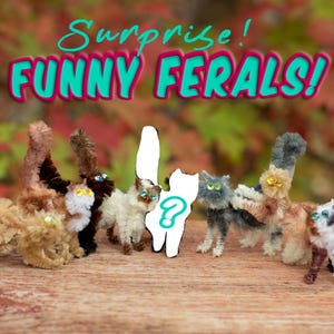 SURPRISE FUNNY FERAL! One Posable Chenille Stem, Pipe Cleaner Kitty Cat ...